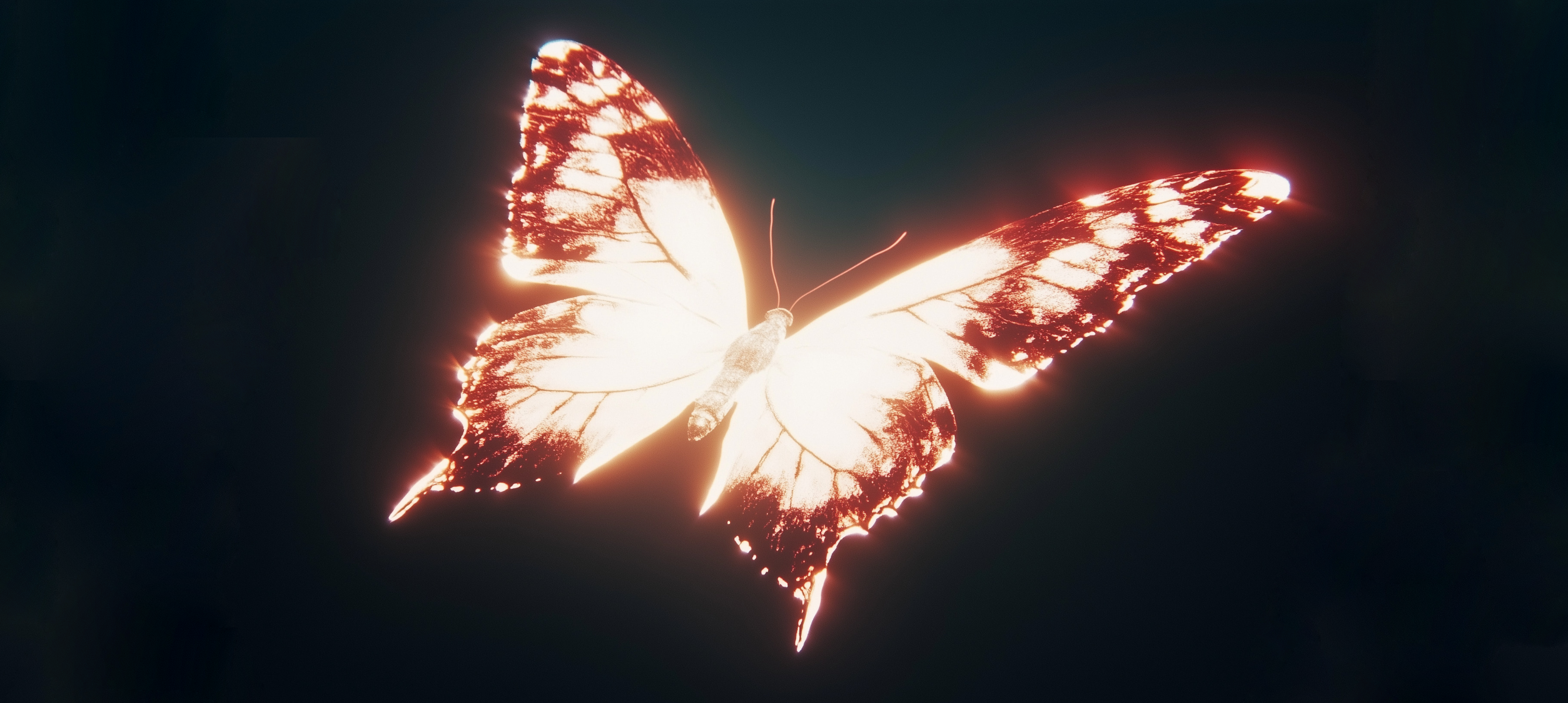 Manifesting Love Through Alignment and Intention – Tanya Bardo